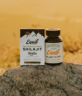 Your restart begins here – Equil